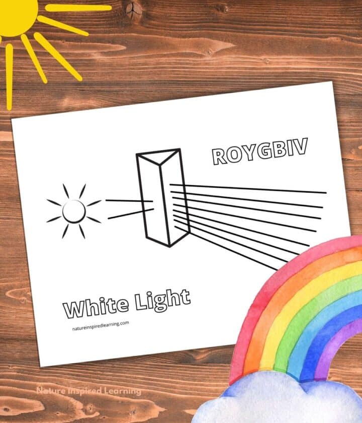 Rainbow Coloring Pages (Free Printables)