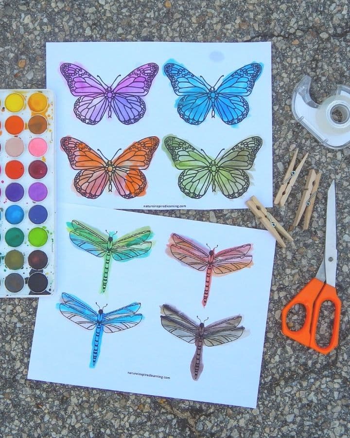 50 Best Sorting and Classification Activities for Preschoolers