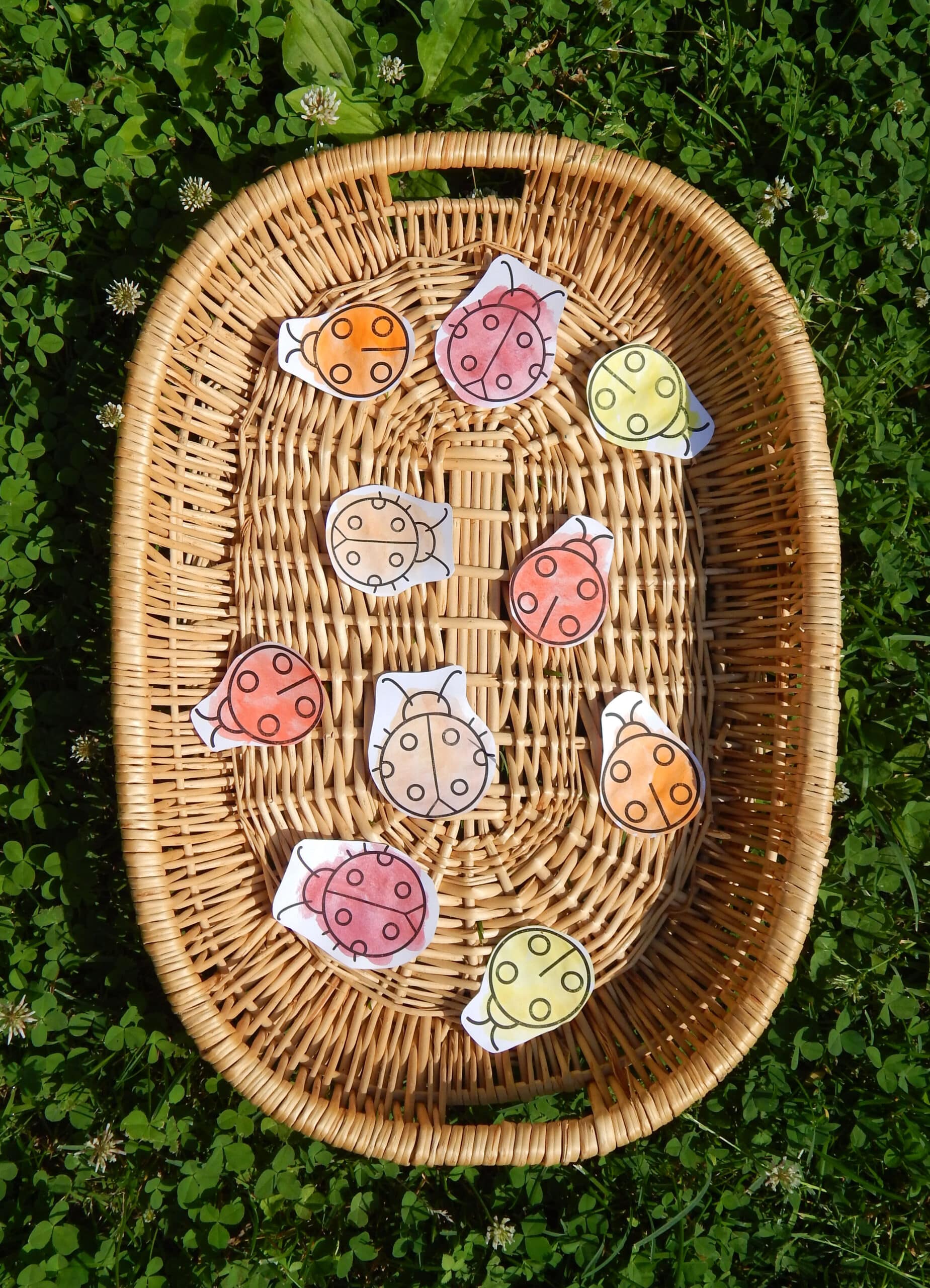 Free Insect Printables and Activities for Kids - Nature Inspired