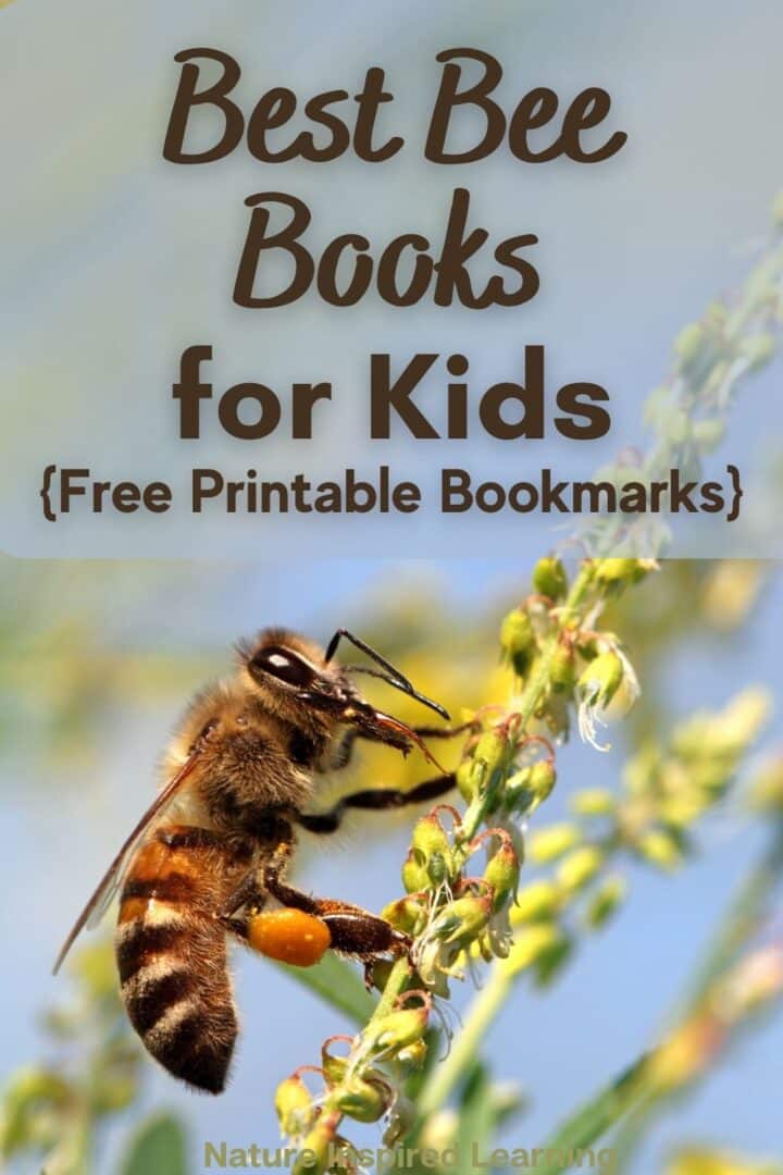 Best Bee Books for Kids of All Ages - Nature Inspired Learning