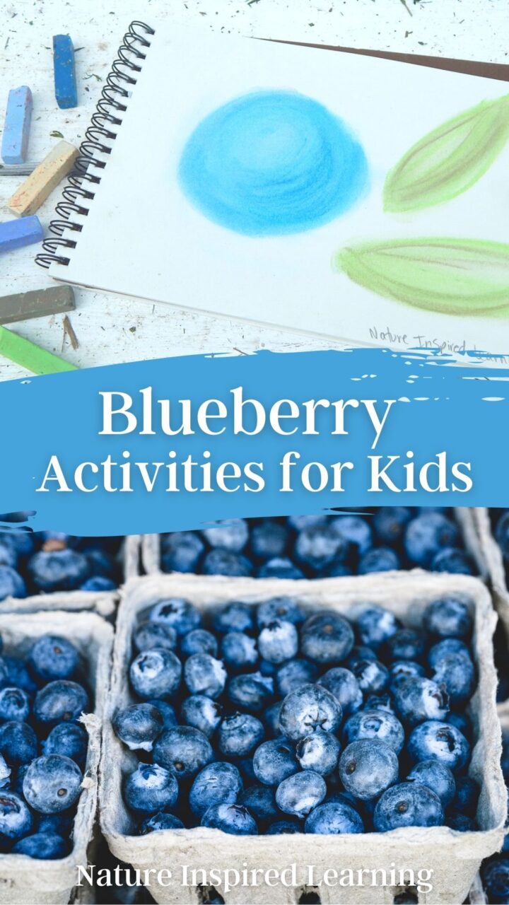 Blueberry Activities for Kids - Nature Inspired Learning