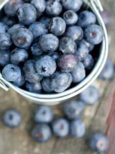 Blueberry Activities for Kids - Nature Inspired Learning