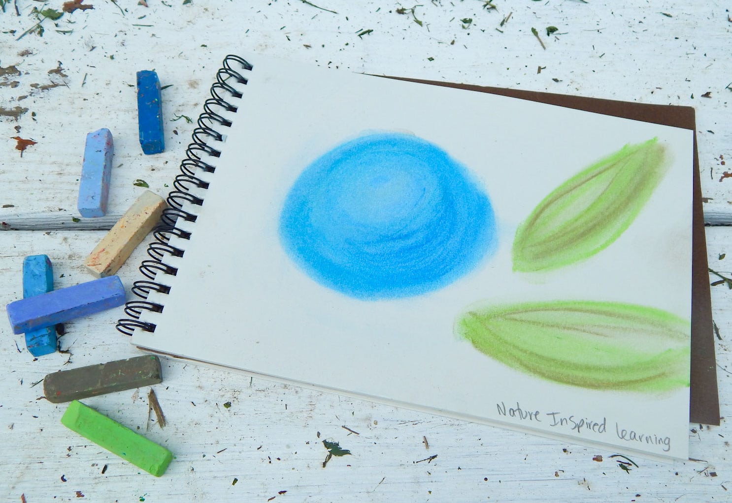 Blueberry Activities for Kids - Nature Inspired Learning