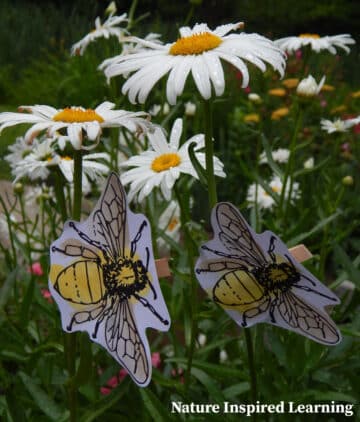 Easy and Fun Bee Crafts for Kids - Nature Inspired Learning