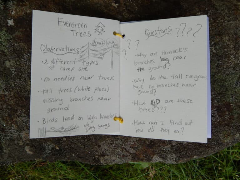How to Start Nature Journaling with Kids - Nature Inspired Learning