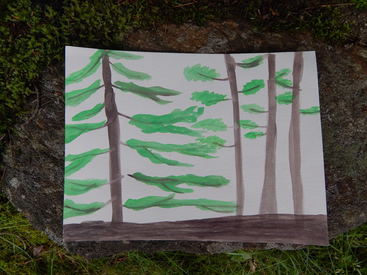 How to Start Nature Journaling with Kids - Nature Inspired Learning