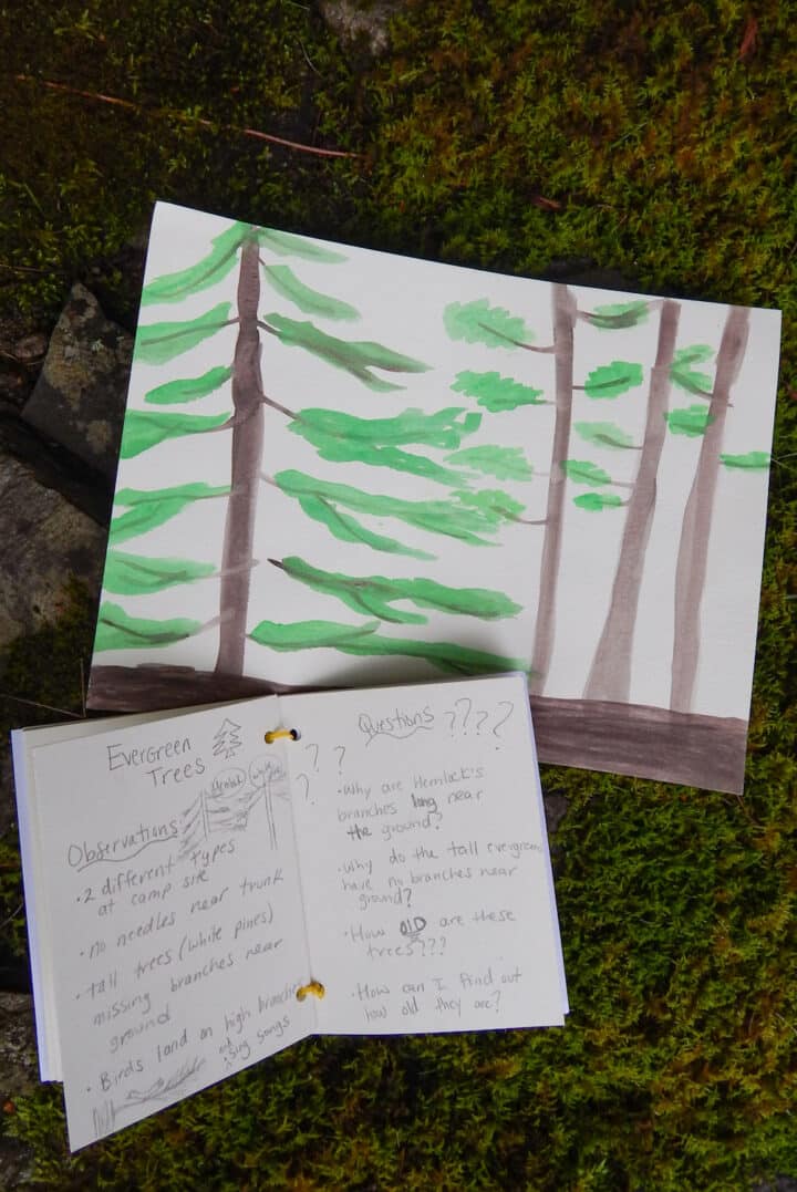 How to Start Nature Journaling with Kids - Nature Inspired Learning
