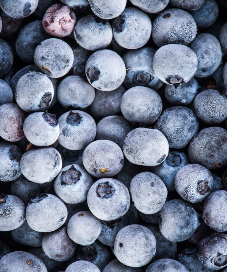 Blueberry Activities for Kids - Nature Inspired Learning