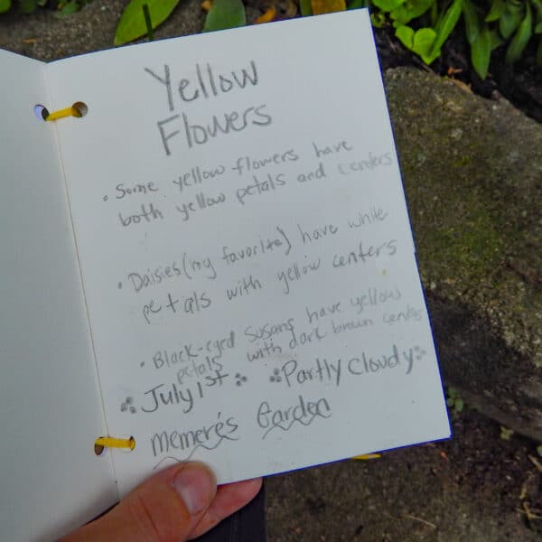 How to Start Nature Journaling with Kids - Nature Inspired Learning