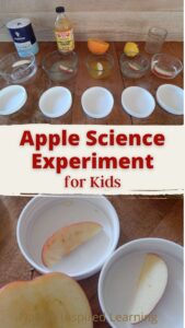 Apple Science Experiment with Worksheets