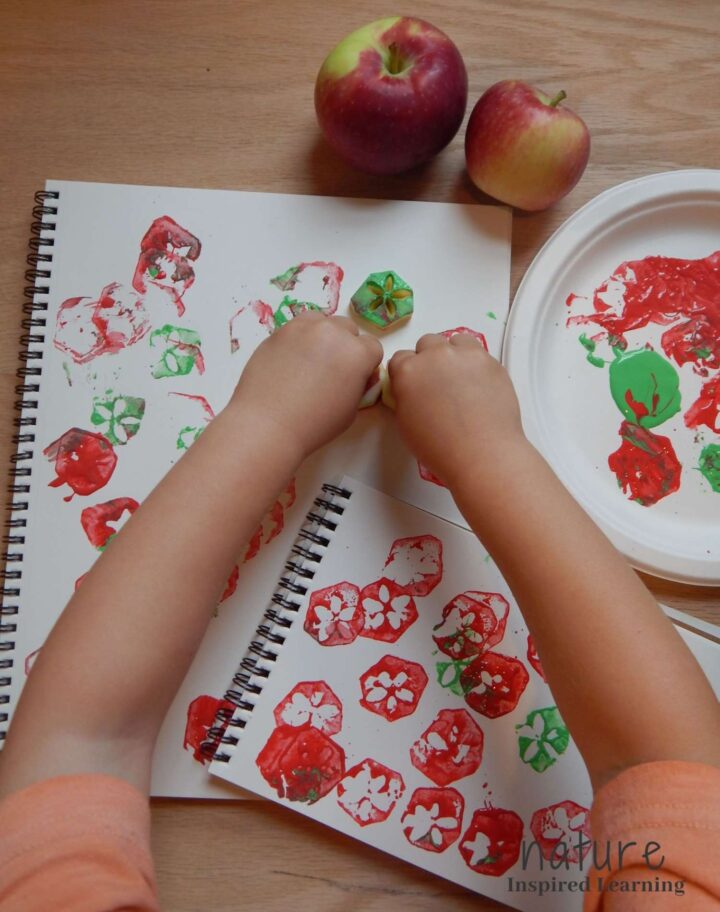 Painting with Apples Fall Craft for Kids - Nature Inspired Learning