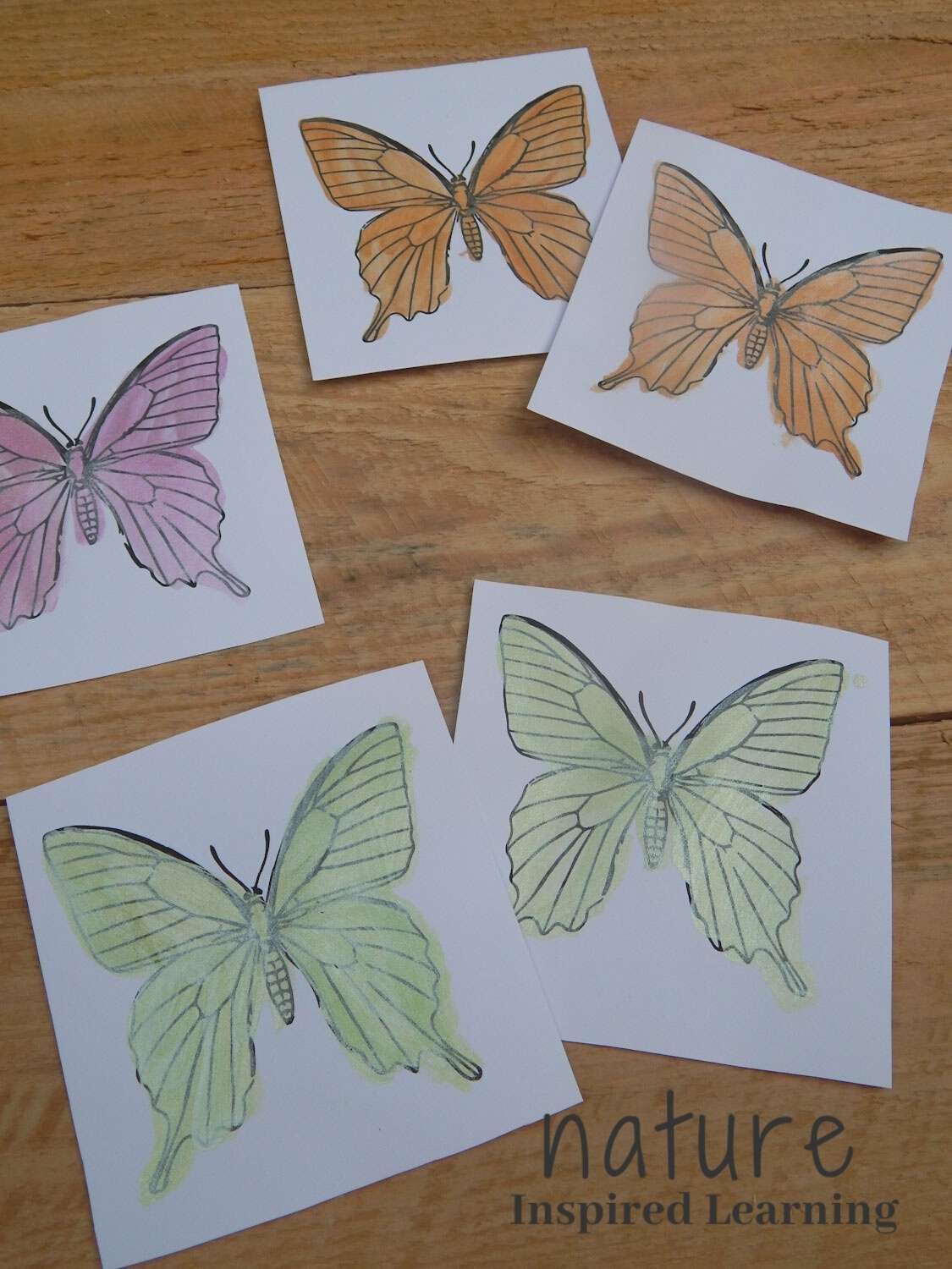 Free Butterfly Printables - Nature Inspired Learning