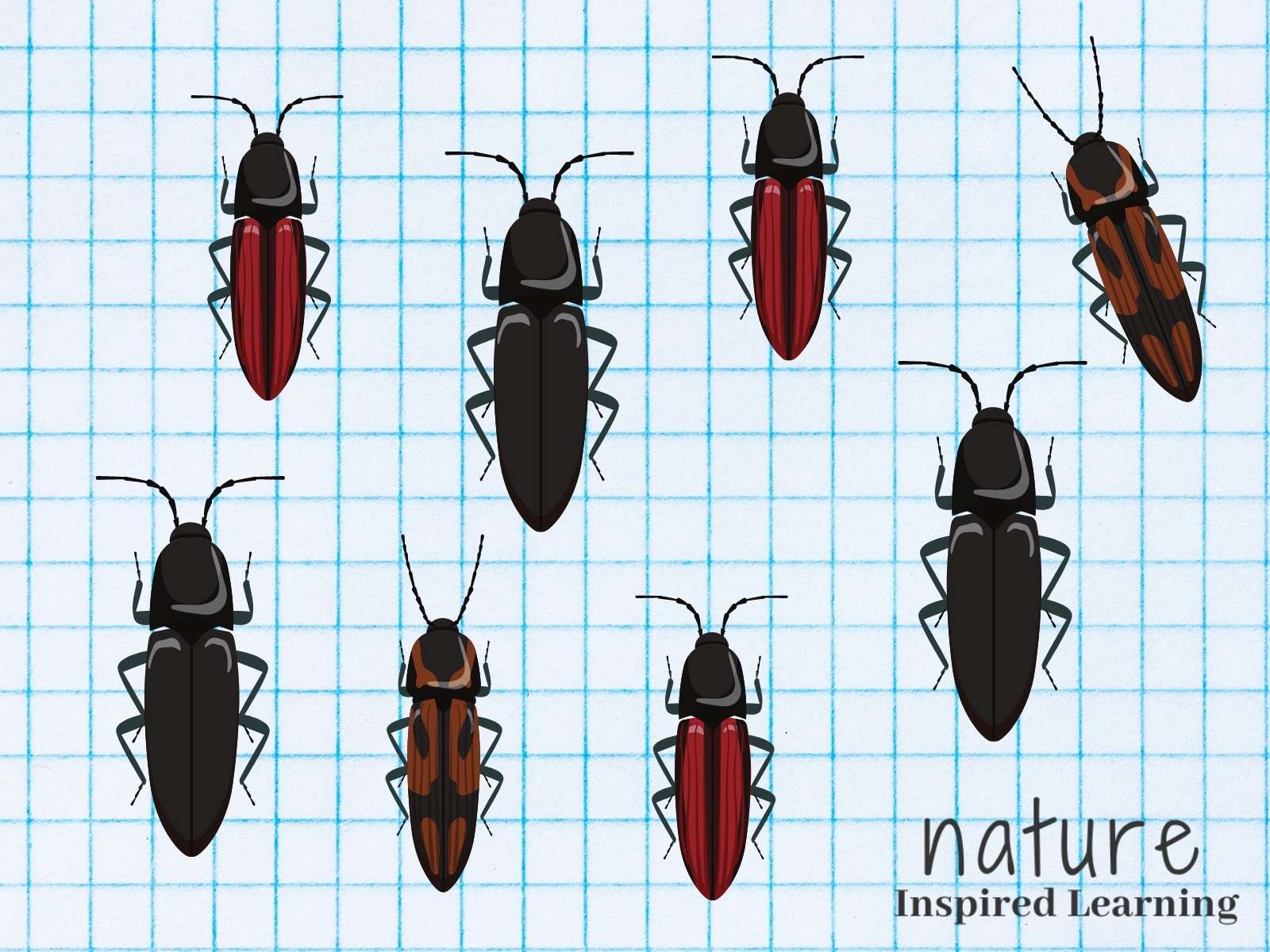 Insect and Bug Books for Kids of All Ages - Nature Inspired Learning