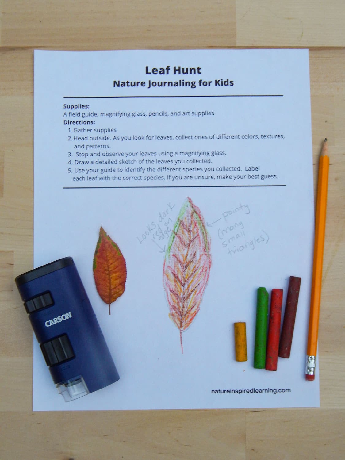 Fall Leaf Printables and Activities for Kids