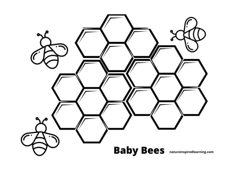 Busy Bee Coloring Pages for Kids - Nature Inspired Learning