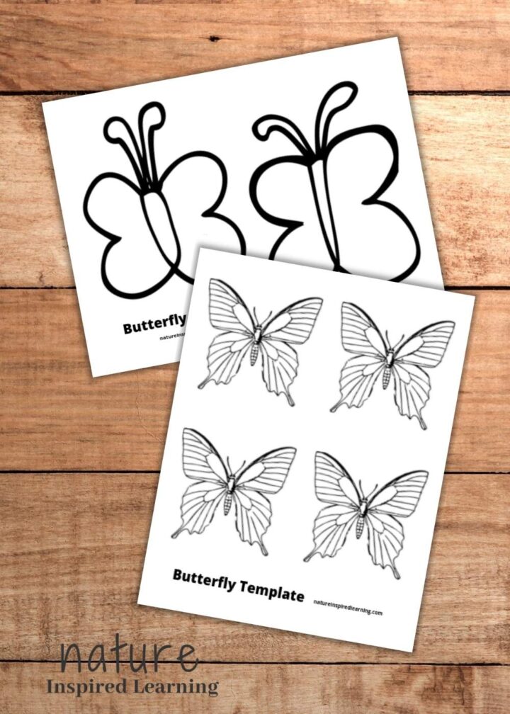 Free Butterfly Printables - Nature Inspired Learning