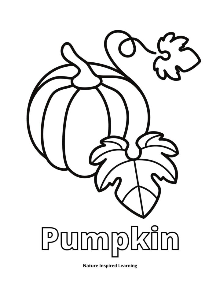 Pumpkin Coloring Pages - Nature Inspired Learning