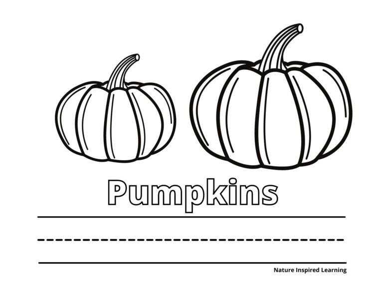 Pumpkin Coloring Pages - Nature Inspired Learning