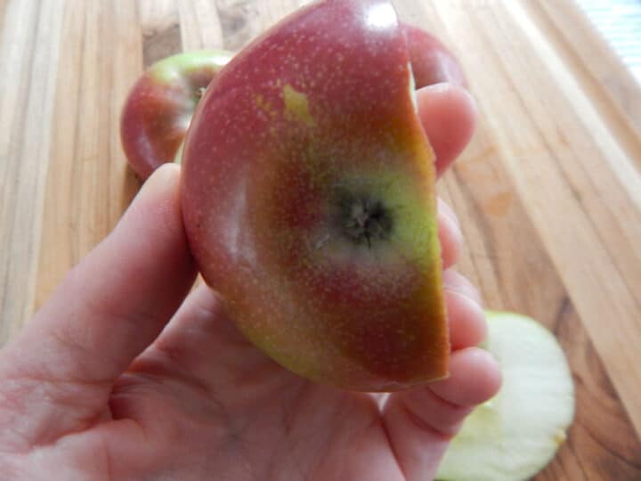 Parts of an Apple with Free Printables