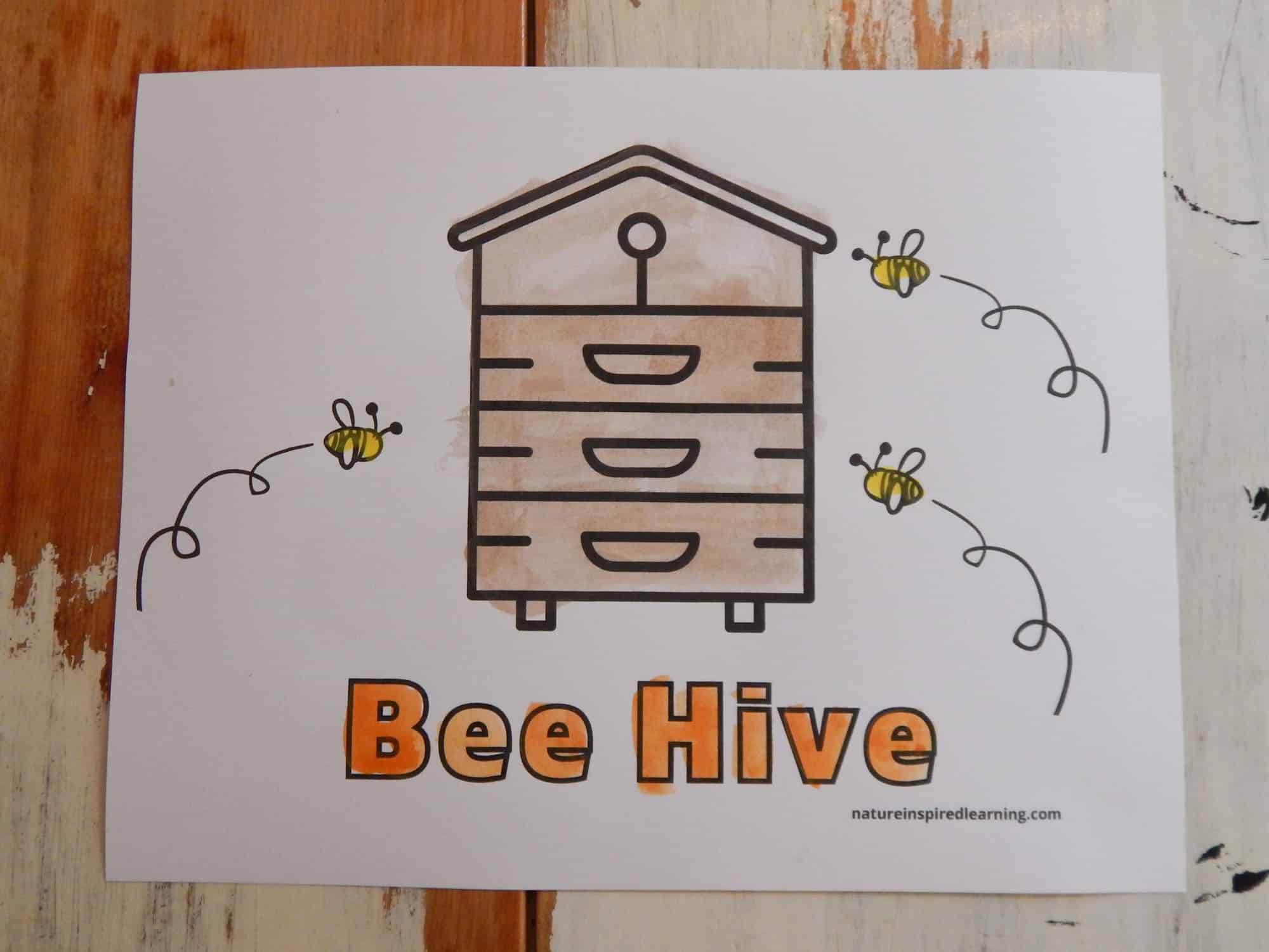 Busy Bee Coloring Pages for Kids - Nature Inspired Learning