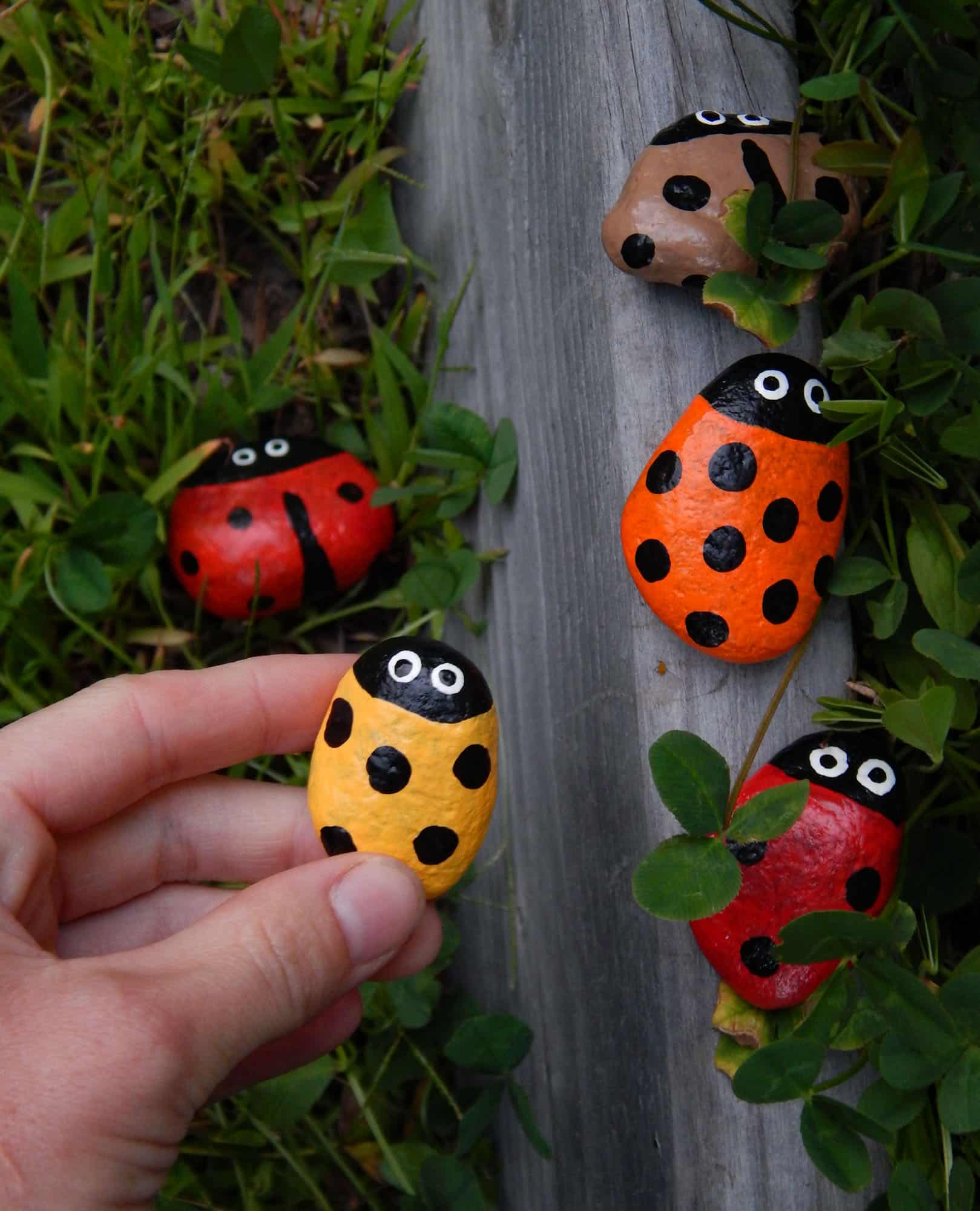 How to Make DIY Ladybug Painted Rocks - Nature Inspired Learning