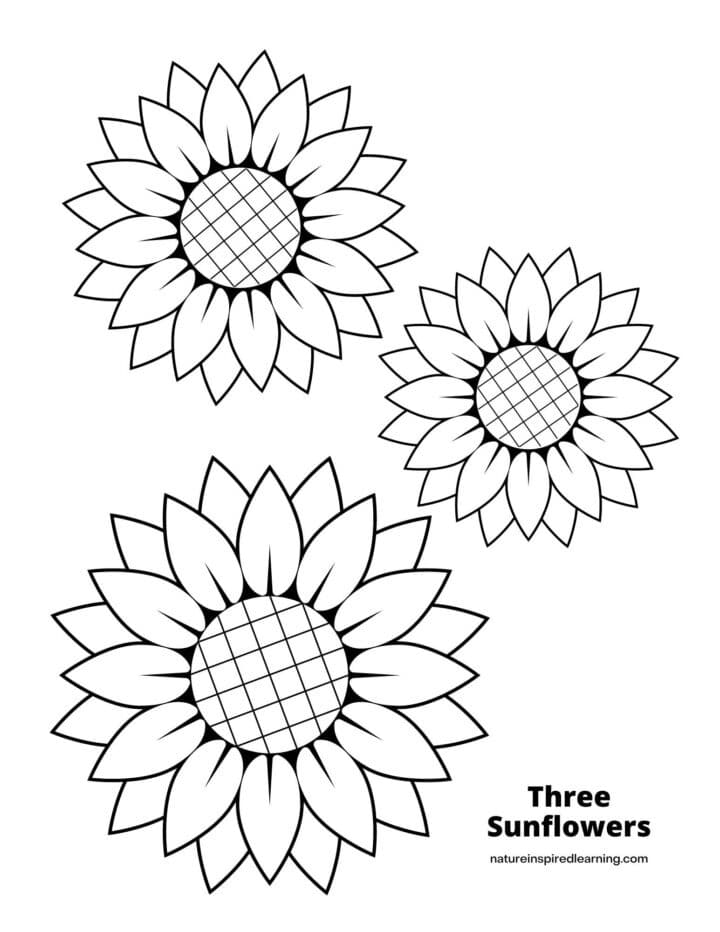 Sunflower Coloring Pages - Nature Inspired Learning