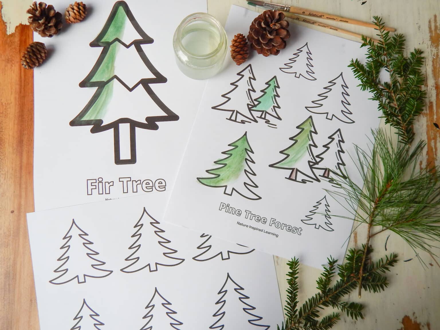 Pine Tree Coloring Pages - Nature Inspired Learning