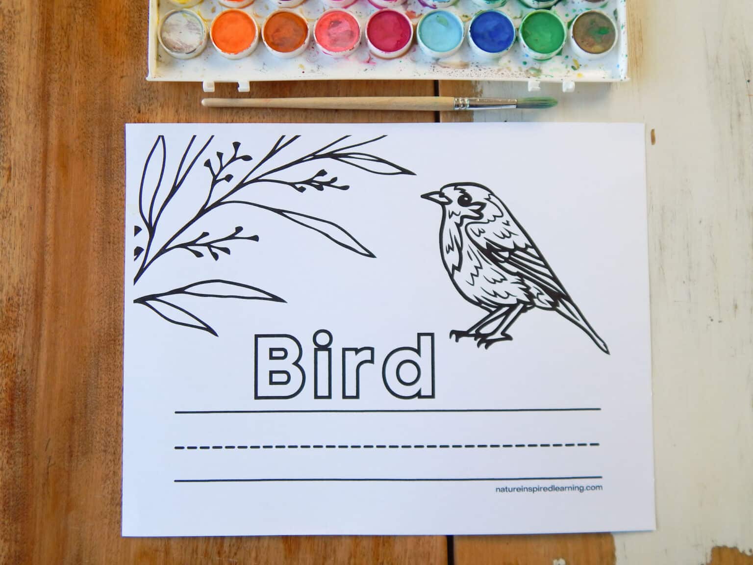 Free Realistic Bird Coloring Pages - Nature Inspired Learning