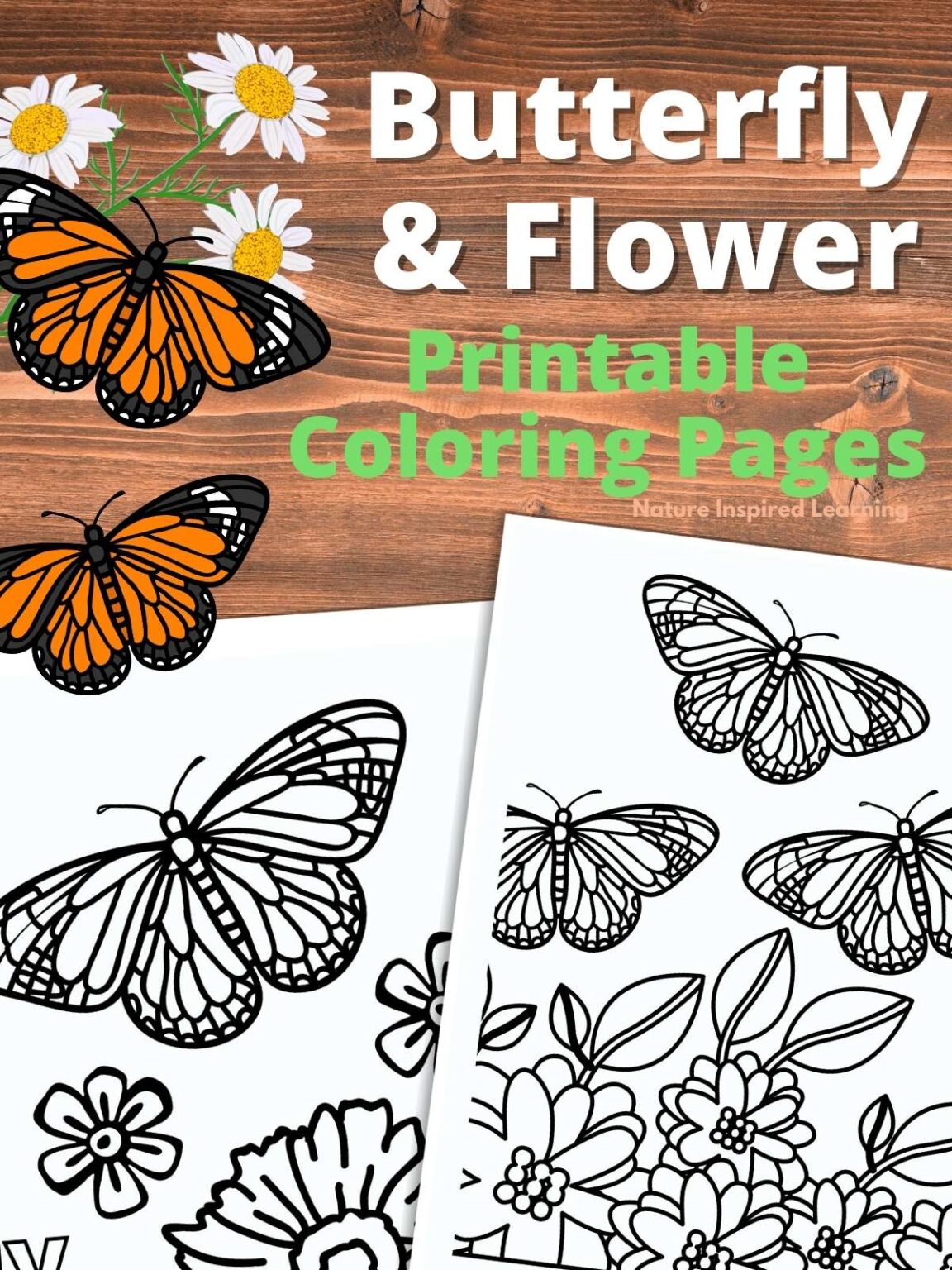 Beautiful Butterflies with Flowers Coloring Pages - Nature Inspired ...