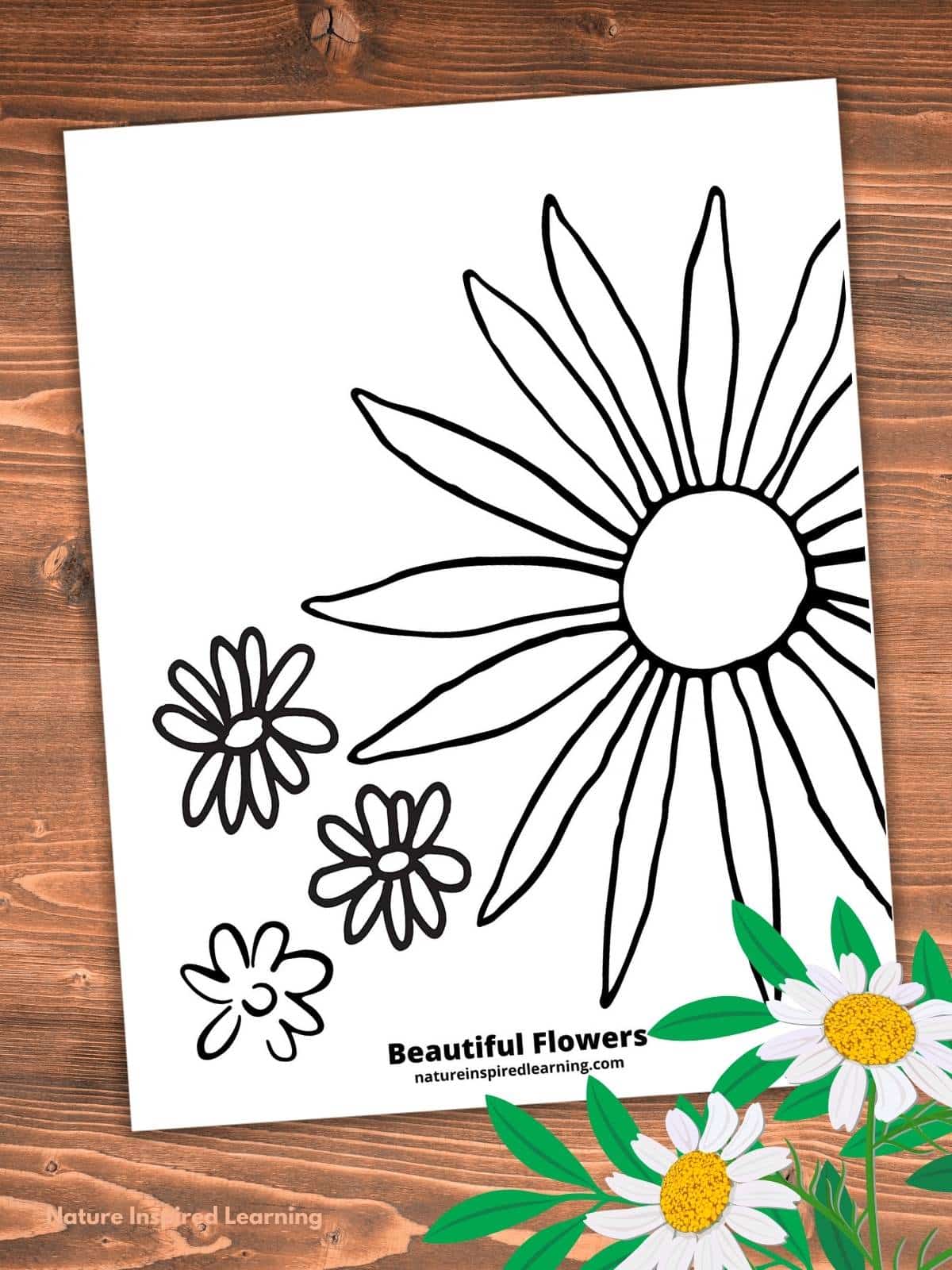 Beautiful Butterflies with Flowers Coloring Pages - Nature Inspired ...
