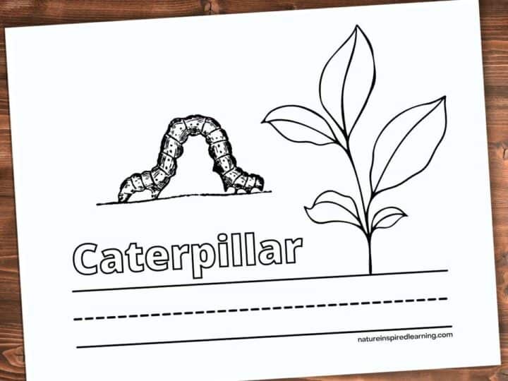 Caterpillar Coloring Pages - Nature Inspired Learning