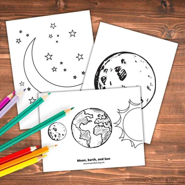 Realistic Moon Coloring Pages - Nature Inspired Learning