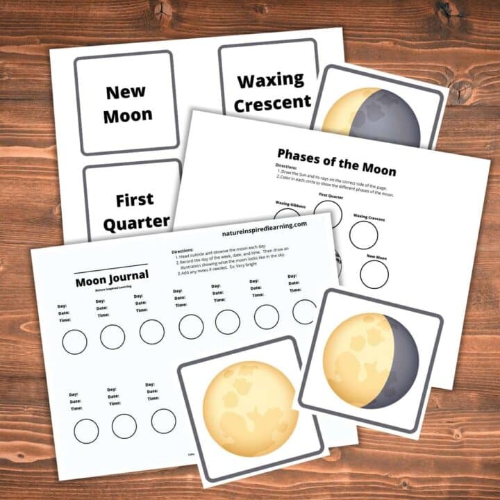 Phases of the Moon Printables - Nature Inspired Learning