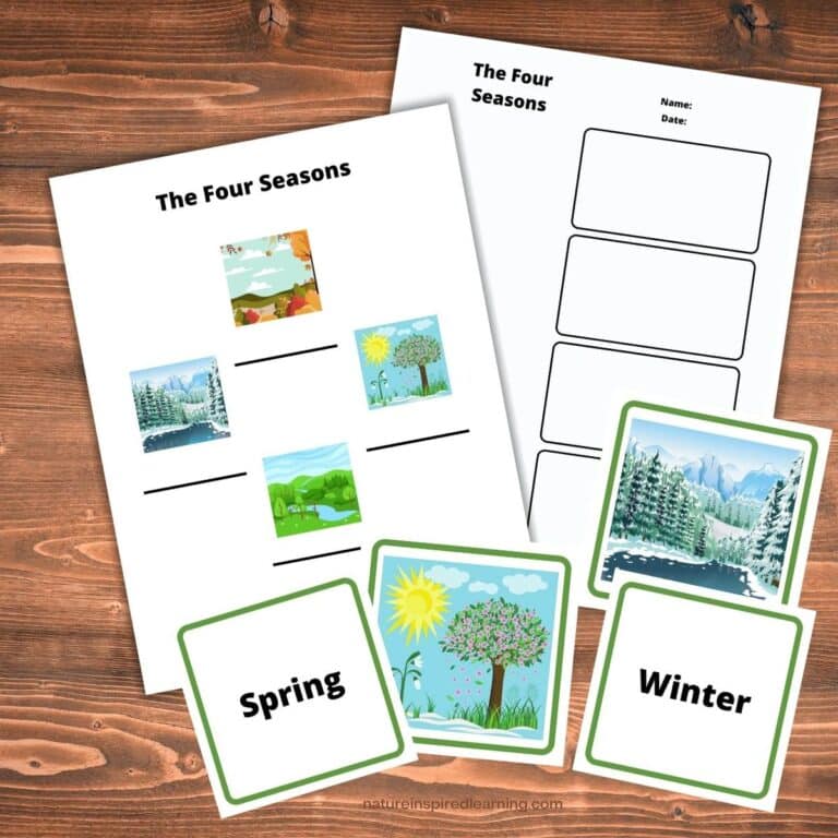 4 Seasons Printables and Worksheets - Nature Inspired Learning