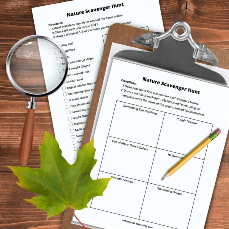 How to Start Nature Journaling with Kids - Nature Inspired Learning