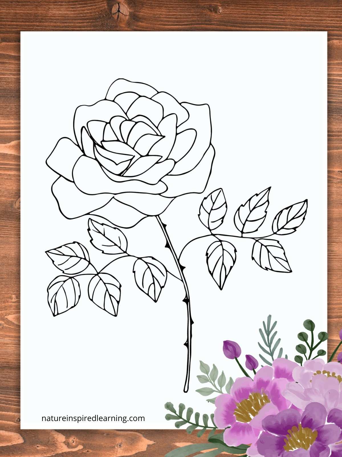 Realistic Rose Coloring Pages - Nature Inspired Learning