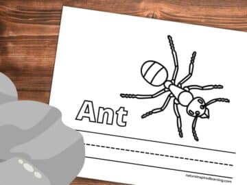 Realistic Ant Coloring Pages - Nature Inspired Learning