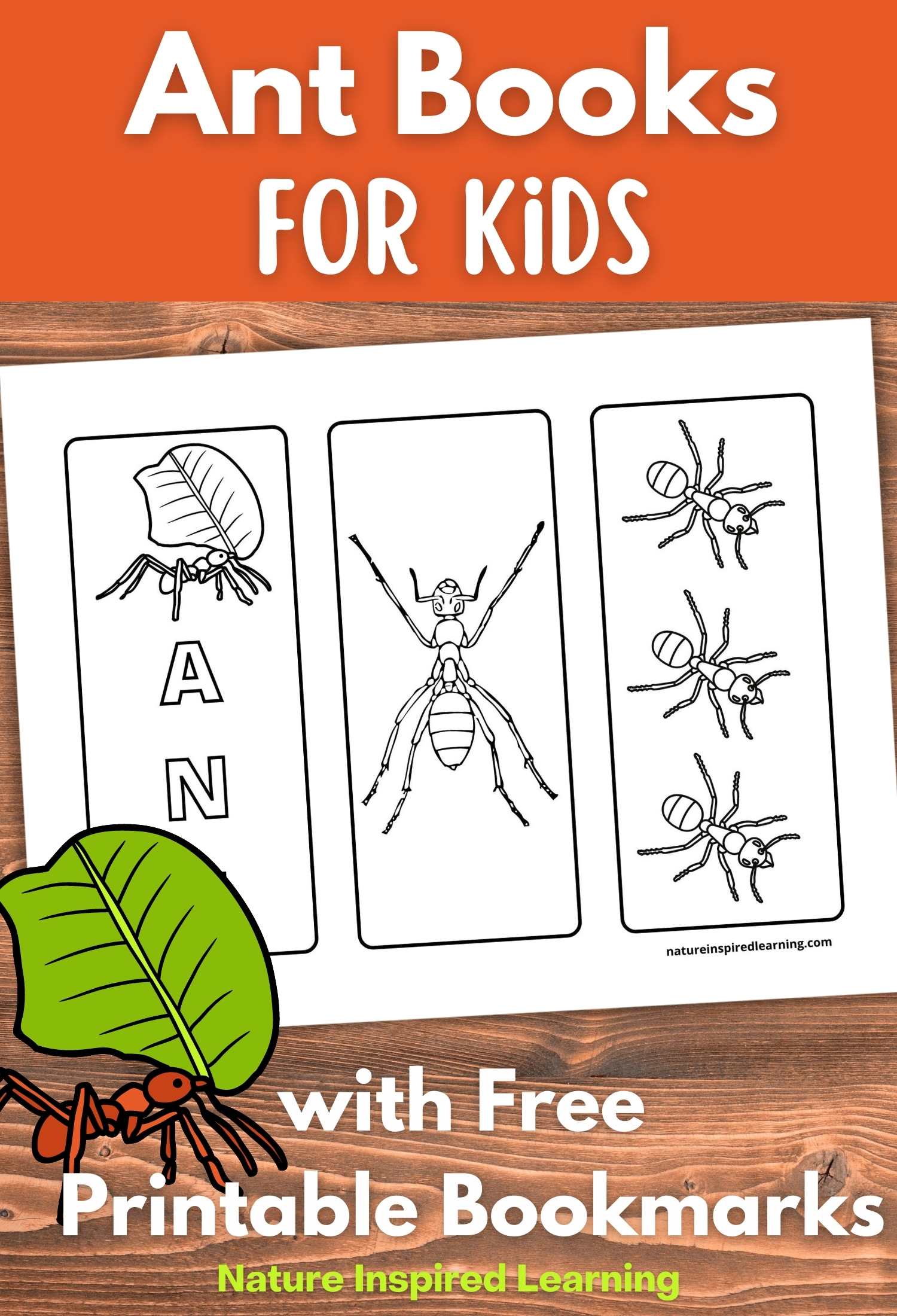 Amazing Children's Books about Ants - Nature Inspired Learning