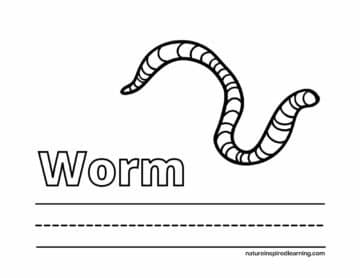 Wiggly Worm Coloring Pages - Nature Inspired Learning