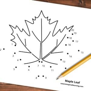 Free Dot to Dot Worksheets 1-20 - Nature Inspired Learning