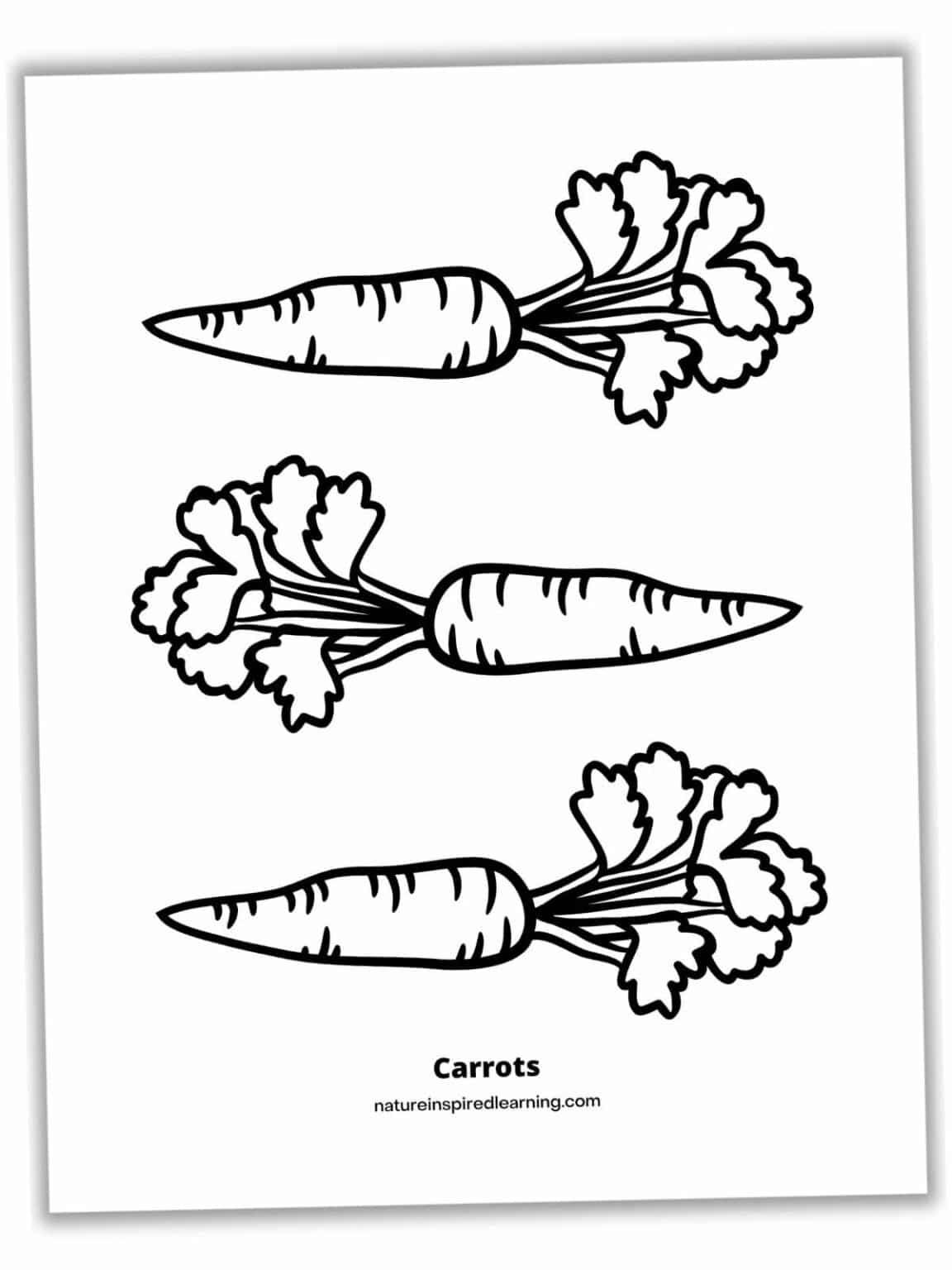 Simple Carrot Coloring Pages - Nature Inspired Learning