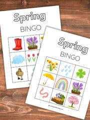 Spring Bingo - Nature Inspired Learning