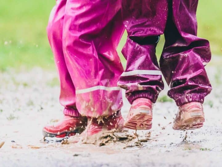 Spring Bingo - Nature Inspired Learning