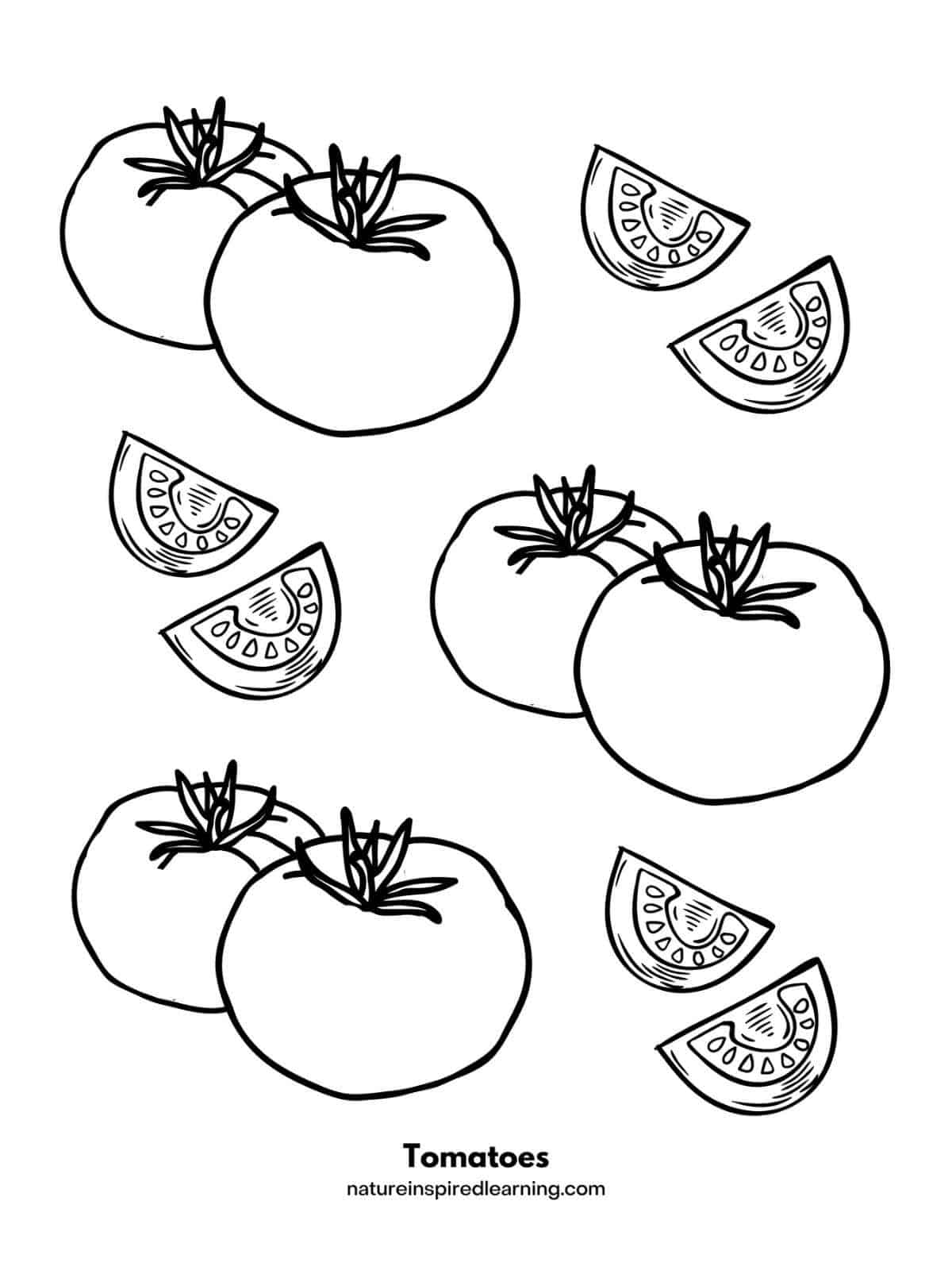 Tomato Coloring Pages - Nature Inspired Learning