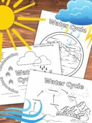 Water Cycle Coloring Pages - Nature Inspired Learning