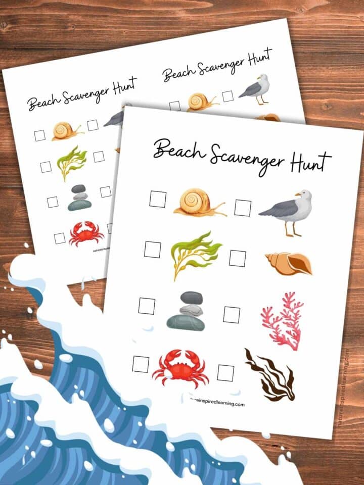 Beach Scavenger Hunt (Free Printable) - Nature Inspired Learning