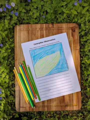 My Butterfly Observation Journal - Nature Inspired Learning