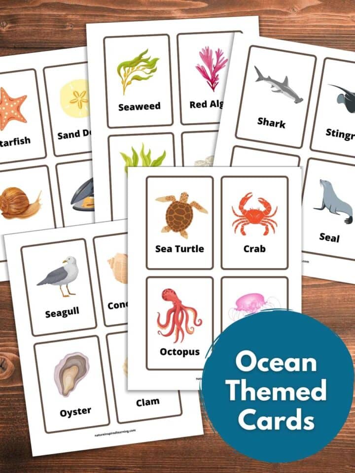 Ocean Flashcards Printable - Nature Inspired Learning