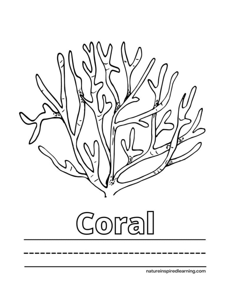 Coral Reef Coloring Pages for Kids - Nature Inspired Learning