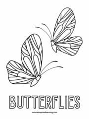 Beautiful Butterfly Coloring Pages - Nature Inspired Learning